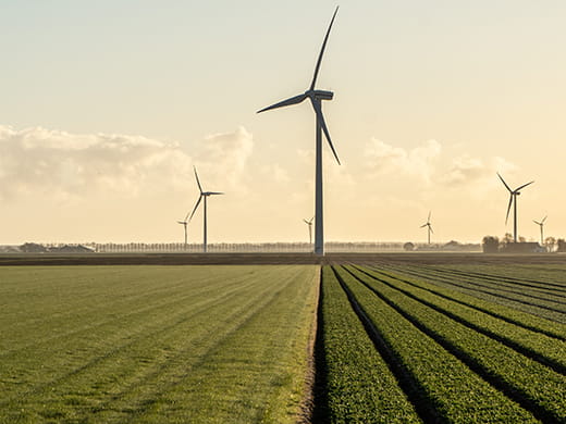 SDG Alignment | McCormick & Company