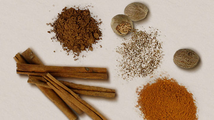 Turmeric Cocoa Cinnamon Nutmeg Blend | McCormick For Chefs®