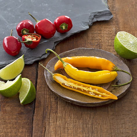 Cooked Sambal Sauce | McCormick For Chefs®