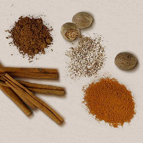 Turmeric Cocoa Cinnamon Nutmeg Blend | McCormick For Chefs®